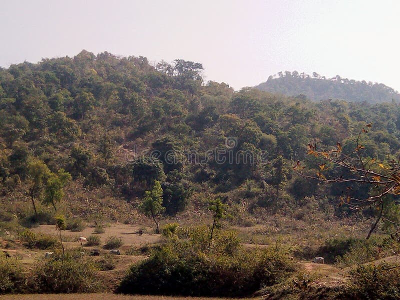 Good Beautiful Khubsurat Park Photo Stock Photo - Image of park ...