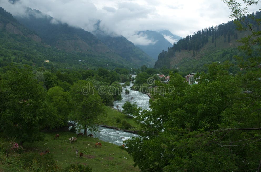 Pahalgam hermoso Scene-2 imagen de archivo. Imagen de cubo - 95631129