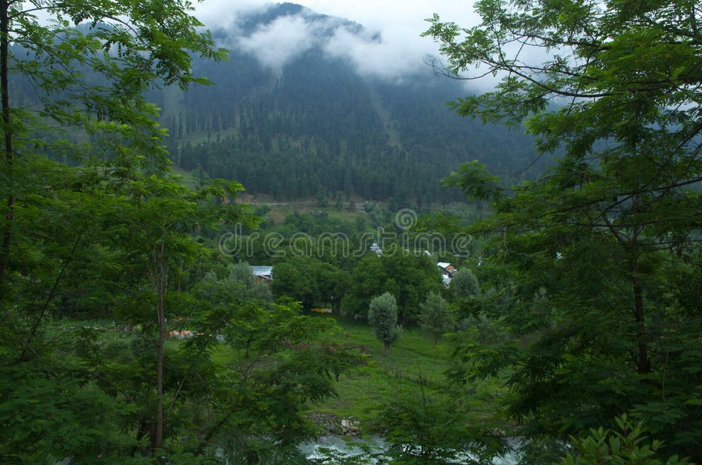 Pahalgam hermoso Scene-6 foto de archivo. Imagen de color - 95632060