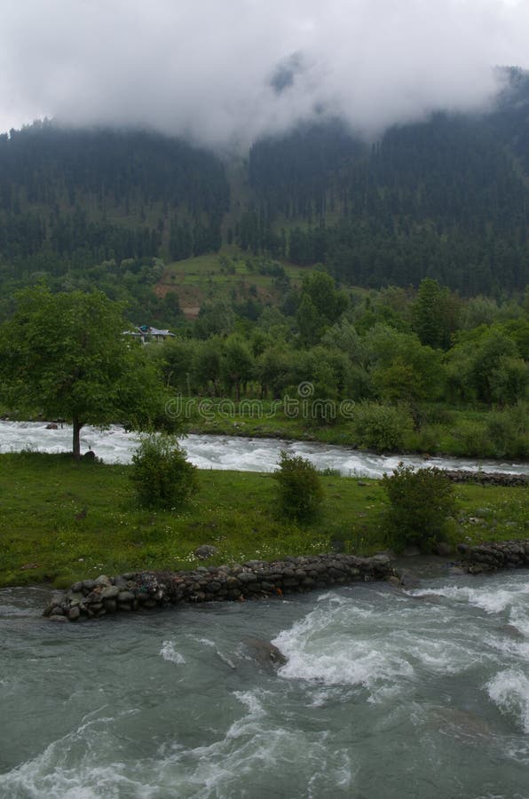 Monsoon Scene In A Rainy Season Stock Image - Image of mountain, paddy ...