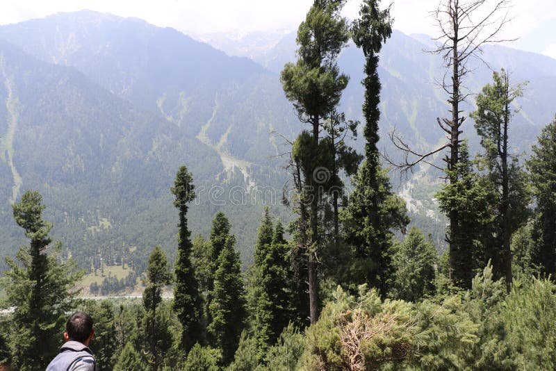 Pahalgam Valley in Jammu & Kashmir Editorial Photography - Image of ...