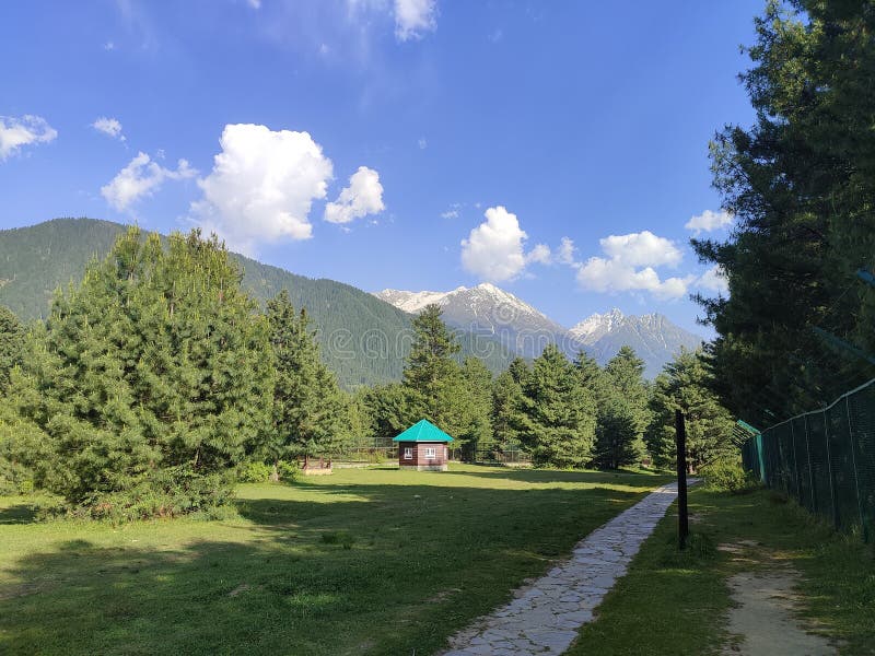 Pahalgam Wildlife Landscape Kashmir Stock Image - Image of hill, lake ...