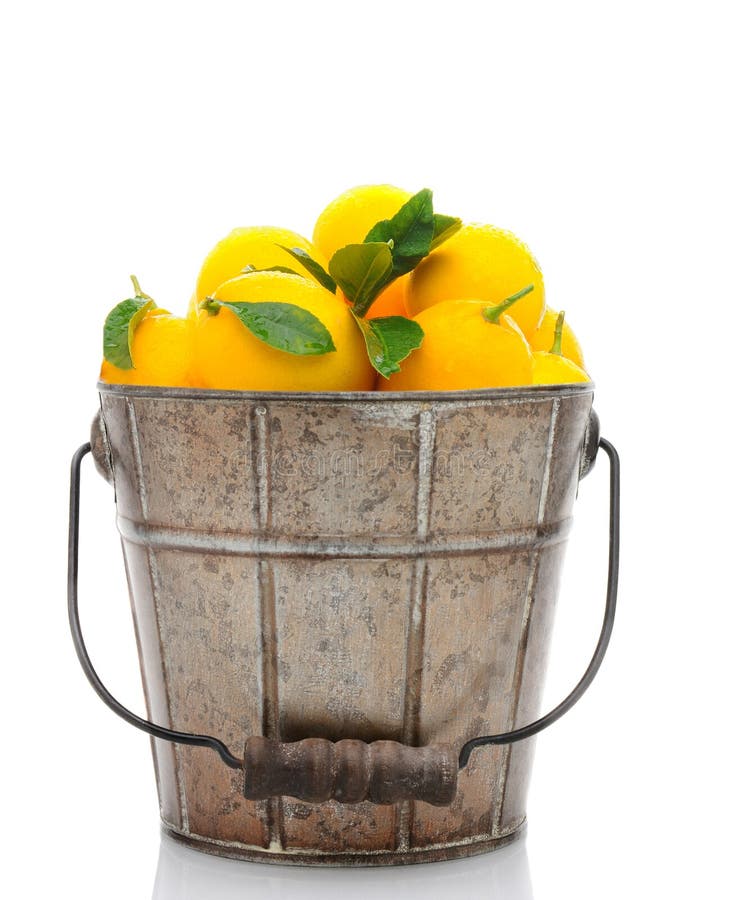 Pail full of water stock photo. Image of full, used, drinking - 21486674