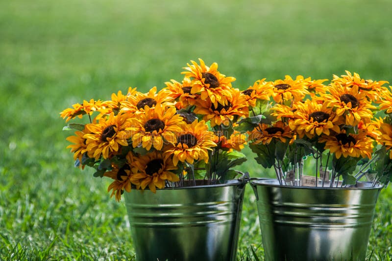 Pail of summer flowers stock image. Image of natural - 28472113