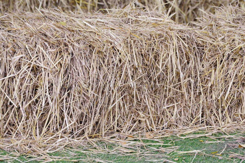 Paille De Riz Photos Stock - Téléchargez 9,632 Photos libres de droits