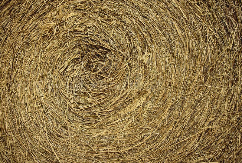Paille jaune photo stock. Image du détail, agriculture - 27312608