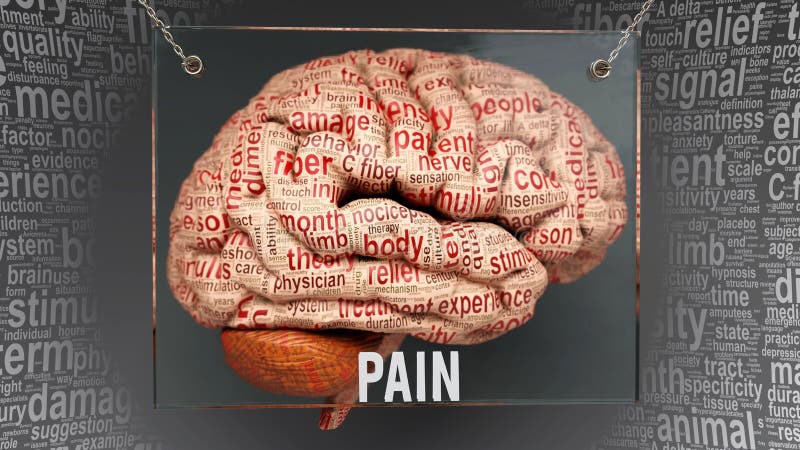 Pain in human brain stock illustration. Illustration of mind - 247091457