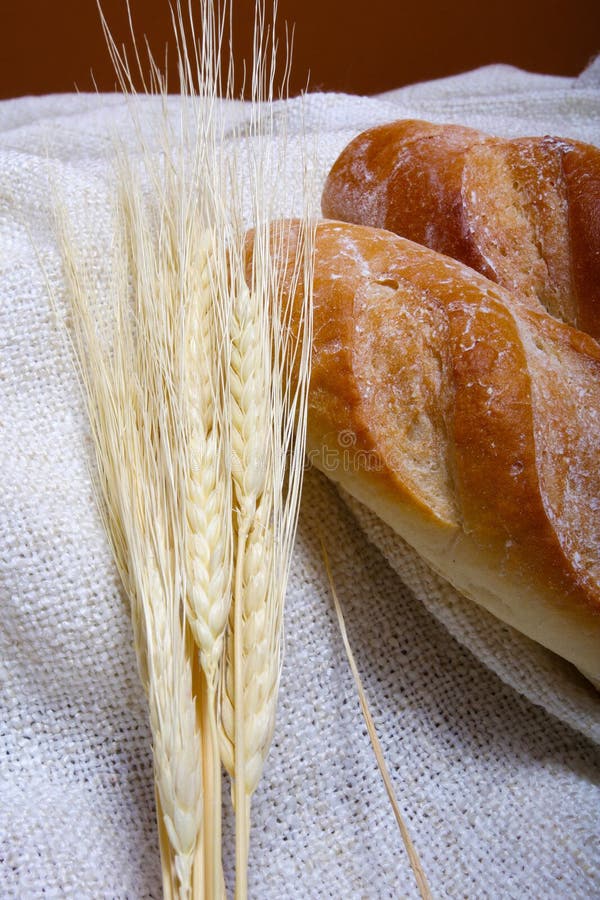 Pain traditionnel image stock. Image du régime, homemade - 26140505