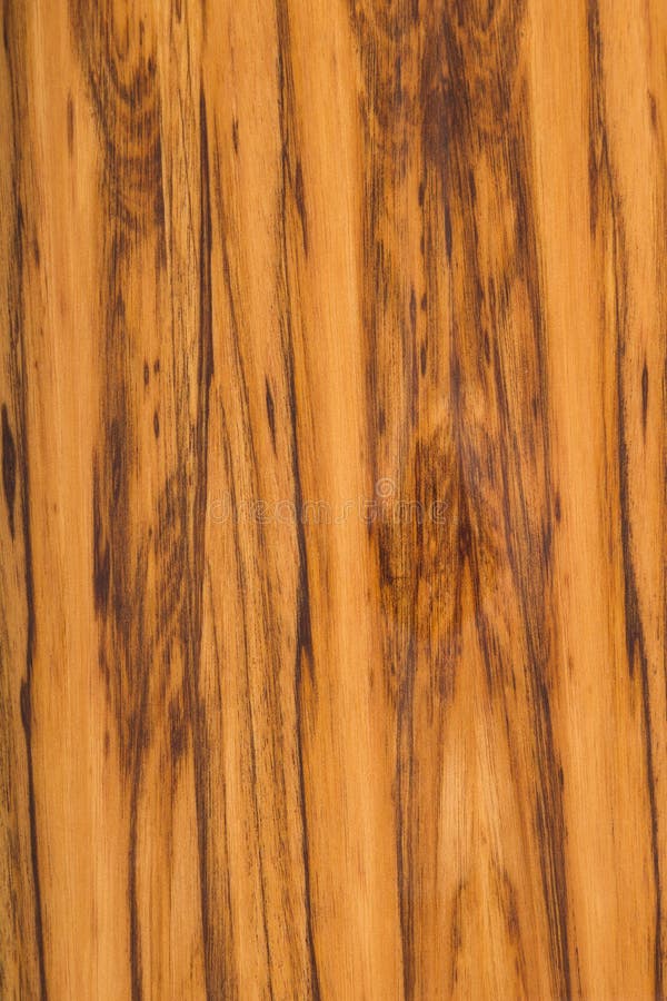 Painel De Madeira Da Madeira Natural, Textura De Madeira Imagem de ...