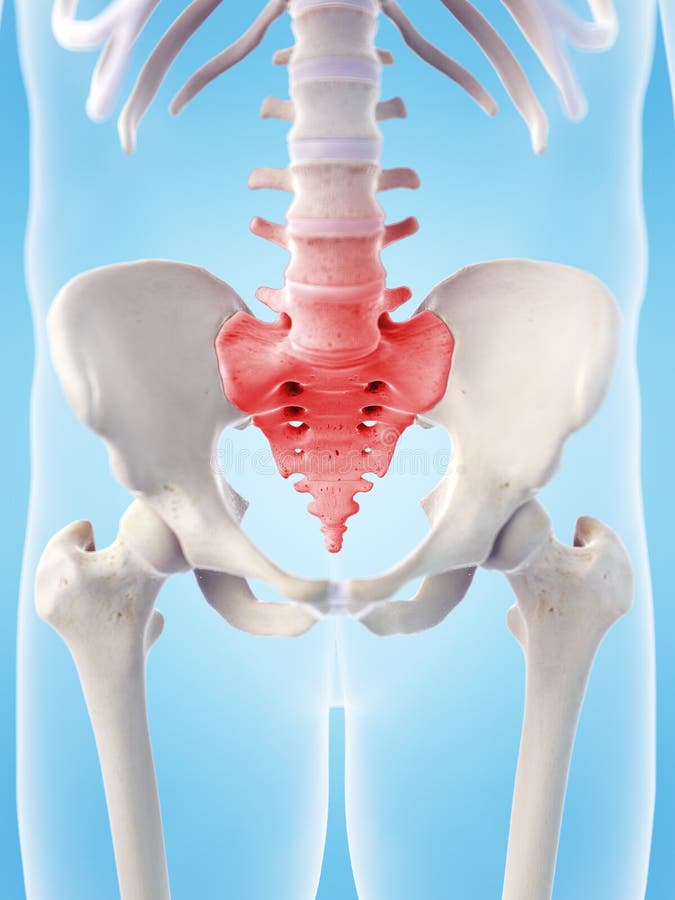Painful sacrum joints stock illustration. Illustration of health ...