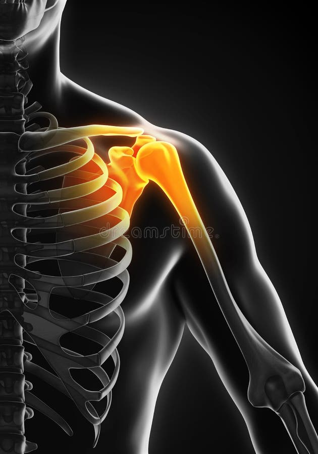Shoulder nerves stock illustration. Illustration of rheumatism - 30721771