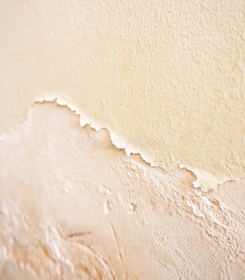 The Paint of the Damp Wall Has Rotted, the Paint of the Wall Has Peeled ...