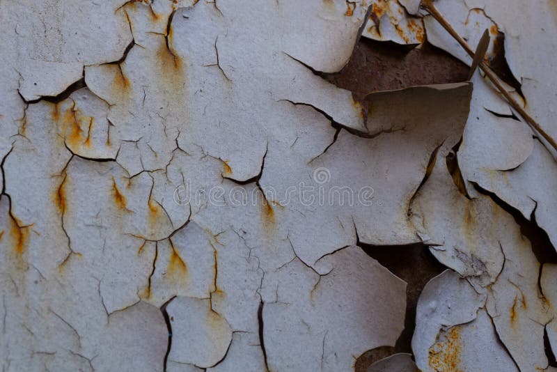 The Paint is Peeling Off the Rusting Sheet of Metal Stock Image - Image ...