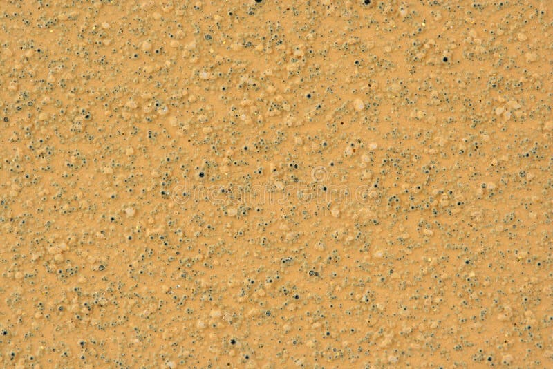 Paint Samples stock photo. Image of color, sample, colorful - 13261486