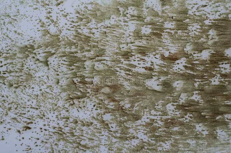 Soap Stamp Stock Photos - Free & Royalty-Free Stock Photos from Dreamstime