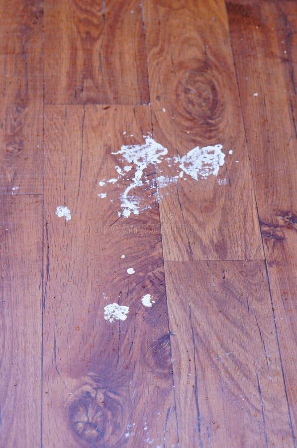 Paint waste stock image. Image of hardwood, floor, waste - 48718933