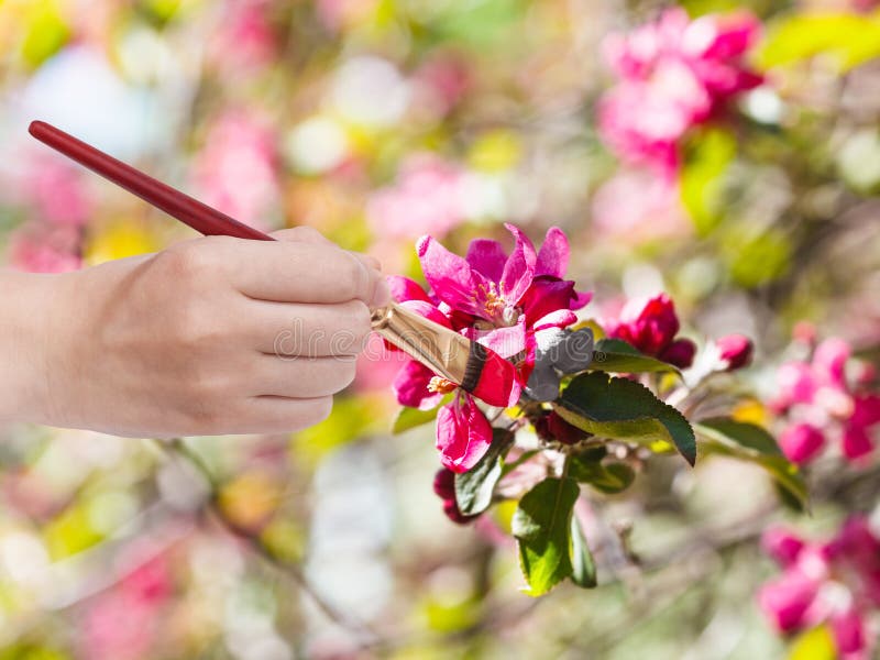 Paintbrush Paints Red Flowers on Apple Tree Stock Image - Image of ...