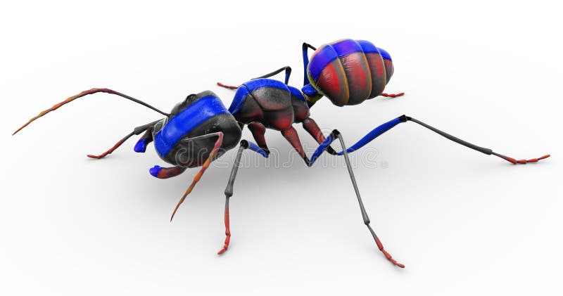 Painted Ant Looking Pretty Picture. Image: 9411400