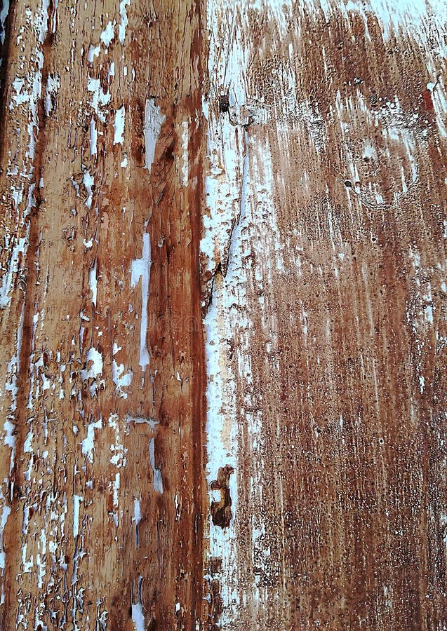 Painted and Battered Board White and Brown Stock Photo - Image of ...