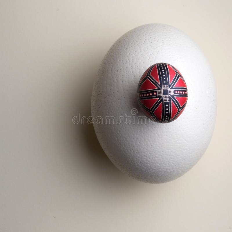 1,435 Camel Bird Stock Photos - Free & Royalty-Free Stock Photos from ...