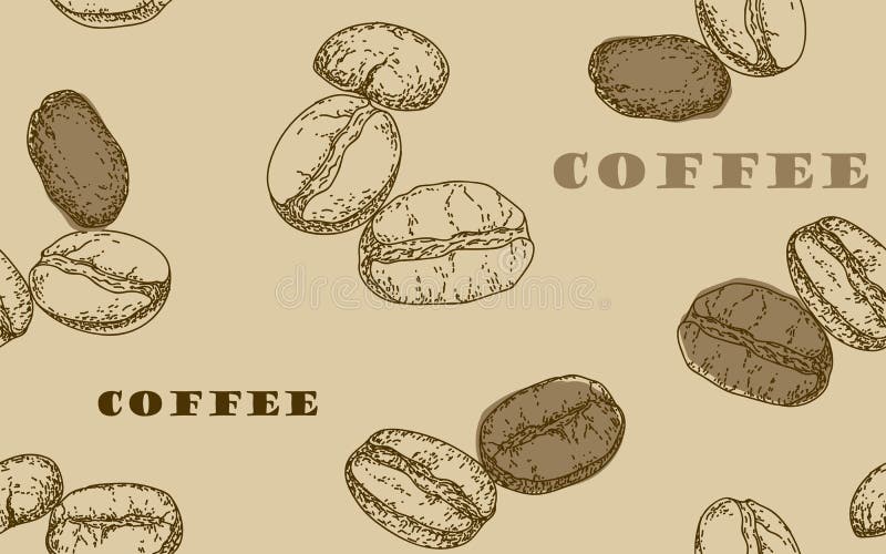 Painted Coffee Beans, Sketch, Vector Drawing, Perfect Ingredient ...