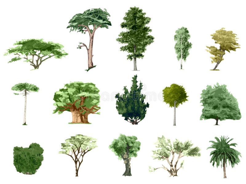 Painted color trees stock illustration. Illustration of bush - 3052771