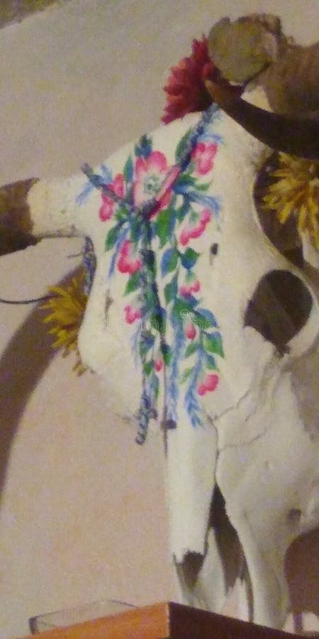 Painted cow skull stock image. Image of ranch, painted - 162643433