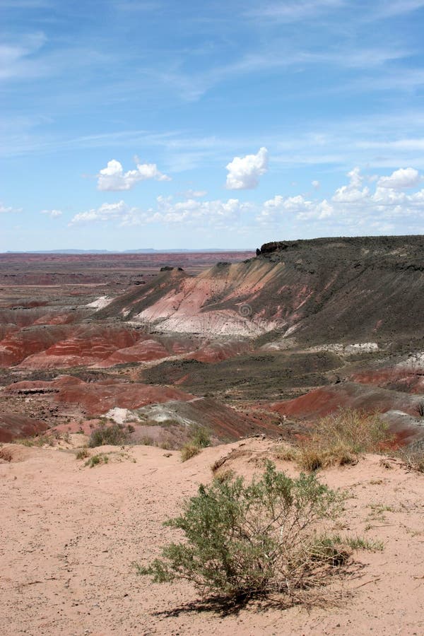 Painted Desert Picture. Image: 1590437