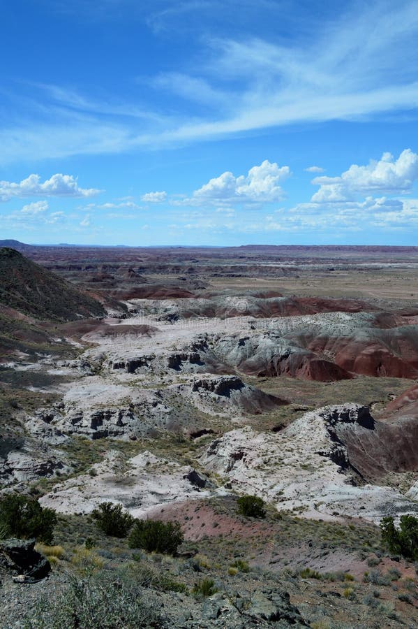 Painted Desert stock image. Image of forest, painted - 254861447