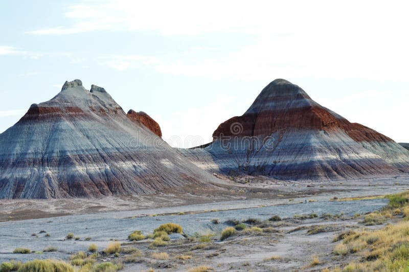 Painted Desert stock image. Image of geolog, green, tree - 254861479