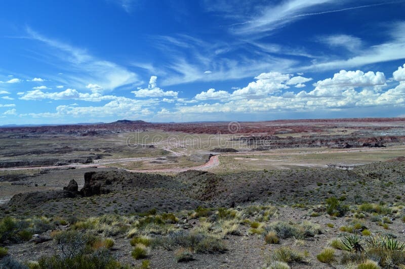 Painted Desert stock image. Image of white, petrified - 254861493