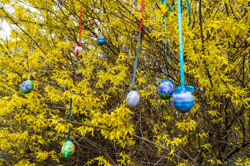 Painted Easter Eggs Decorate the Branches of a Bush Blooming with ...