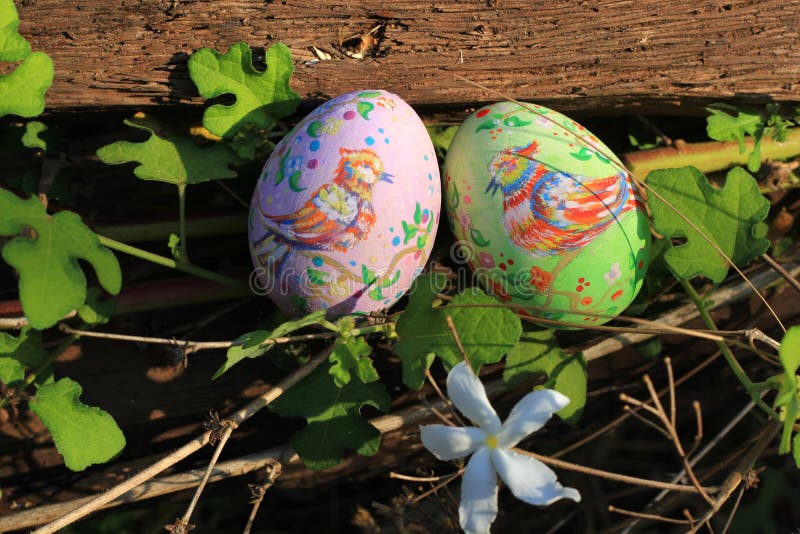 Painted Easter Eggs Hidden on the Grass, Ready for the Easter Egg Hunt ...