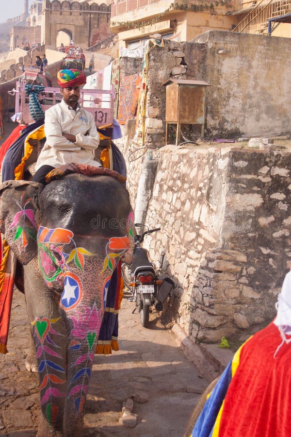 Painted Elephant with Rider in Jaipur Editorial Photo - Image of jaipur ...