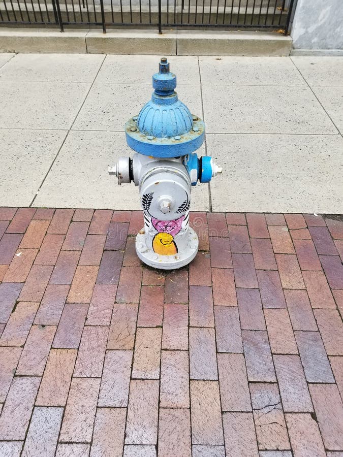 A Painted Fire Hydrant stock photo. Image of floor, wood - 180222978