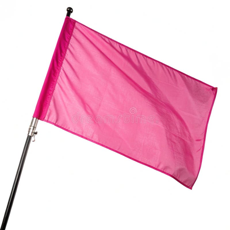 Painting of a Flag on a Pink Background Isolated on White Background ...