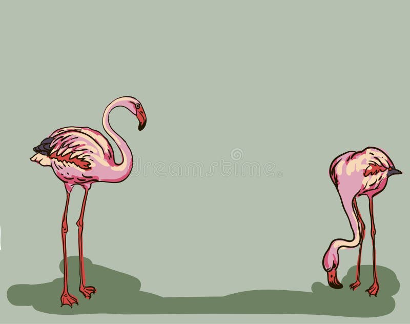 Painted Flamingo Bird Illustration Stock Illustration - Illustration of ...