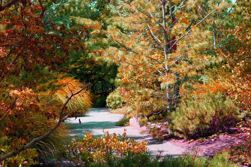 Painted Forest stock image. Image of pathway, branches - 89022317