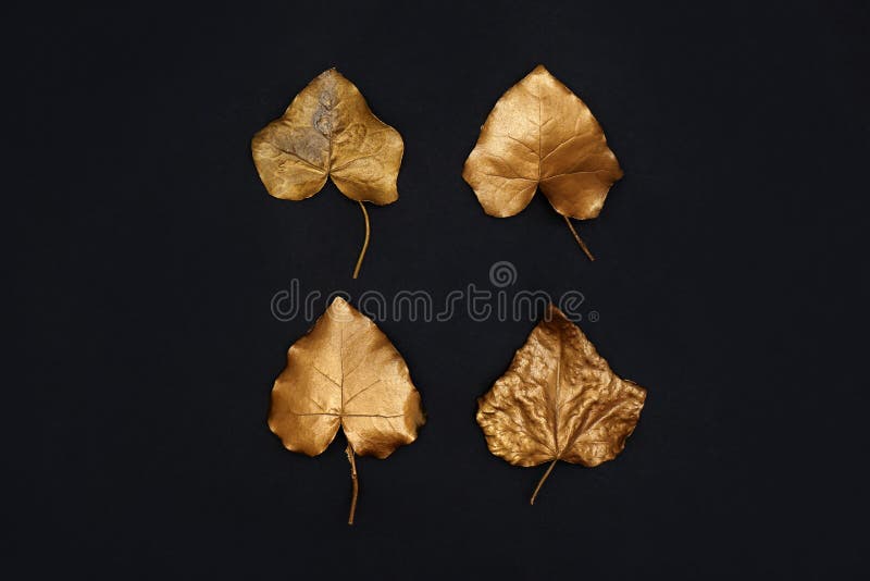 Painted Gold Autumn Leaves on Black Background Stock Photo - Image of ...