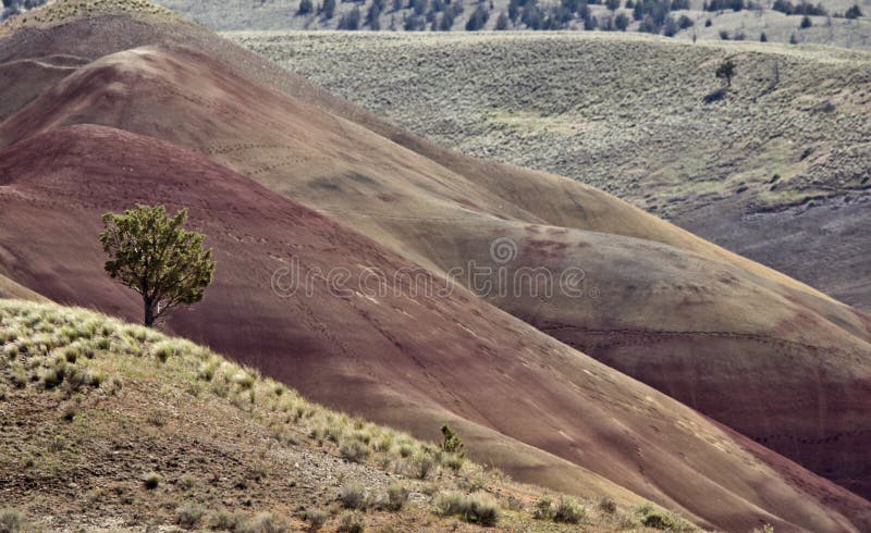 Painted Hills Oregon stock image. Image of nature, formation - 35502035