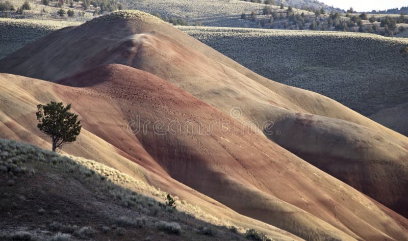 Painted Hills Oregon stock image. Image of arid, monument - 35502717