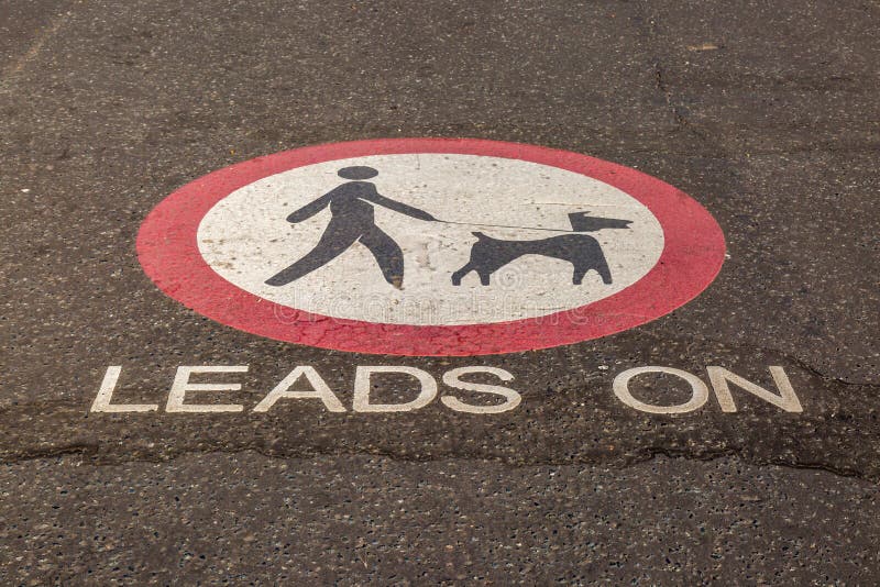 Leads Sign in a Bright Office Environment Stock Image - Image of ...