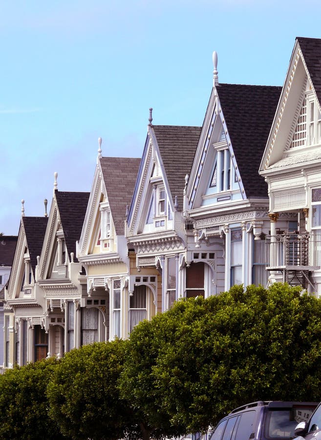 Painted Ladies stock photo. Image of treetops, protected - 20490804