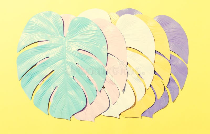 Painted Monstera Leaves with Hard Shadow Stock Image - Image of ...