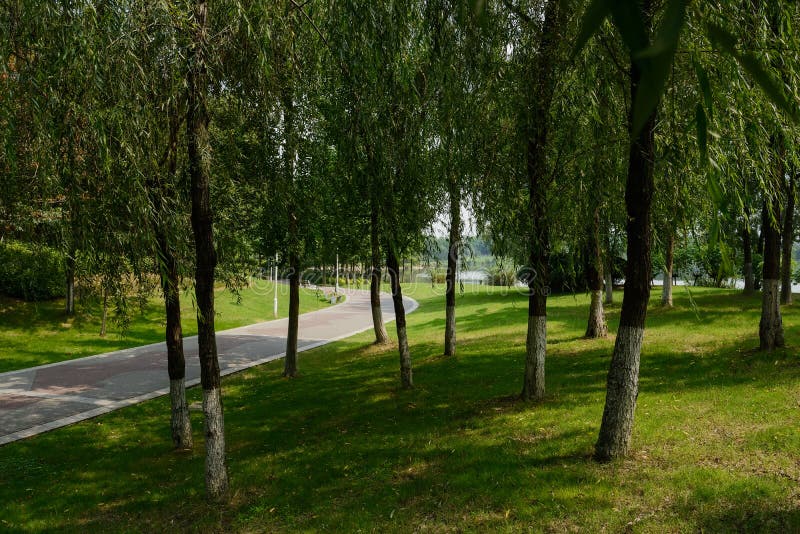 Painted Path in Lakeside Lawn and Trees on Sunny Summer Day Stock Photo ...