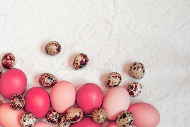 Painted Pink Chicken Eggs on a Crumpled Canvas. Easter Theme Design ...