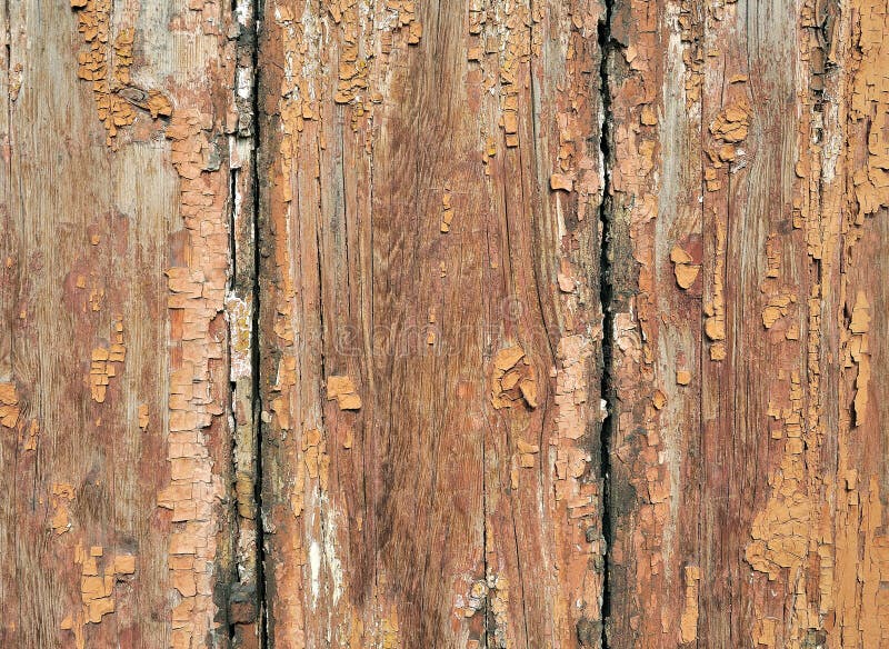 Painted plank stock photo. Image of rough, painted, plank - 16248734