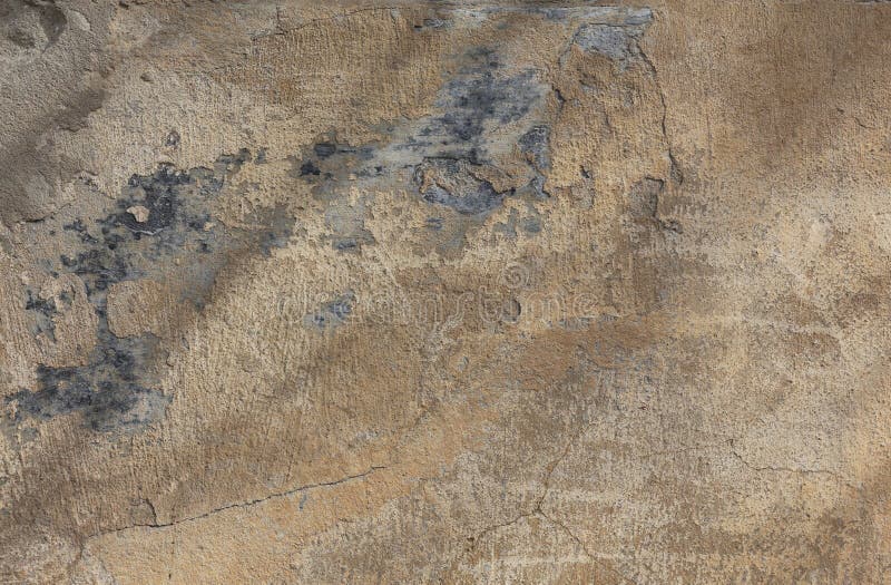 Painted Plaster Surface Texture. Warm Summer Shadows and Light on the ...