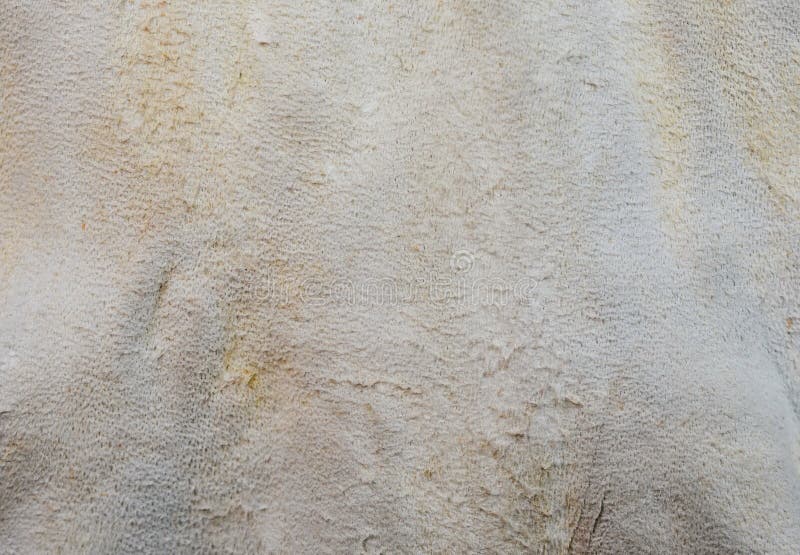Painted raw rough leather. stock image. Image of natural - 80705935