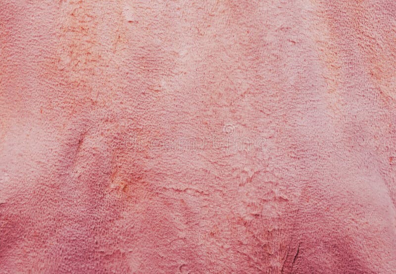 Painted raw rough skin. stock image. Image of grunge - 80707665